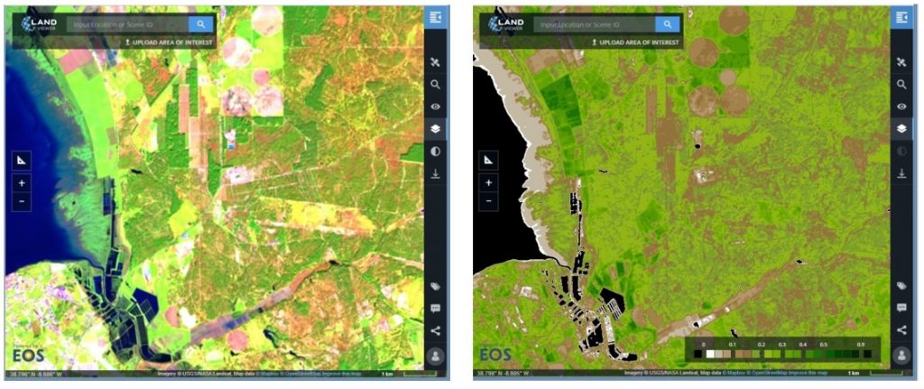 Consulta y descarga de imágenes de satélite. Land Viewer